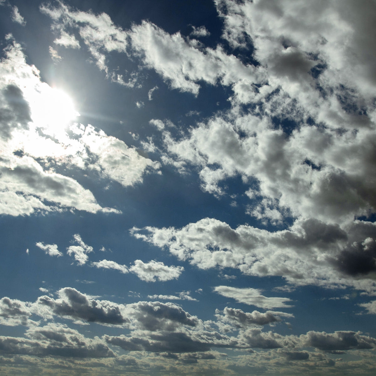 It's Not the Heat That Gets You.... – Portland Running Company
